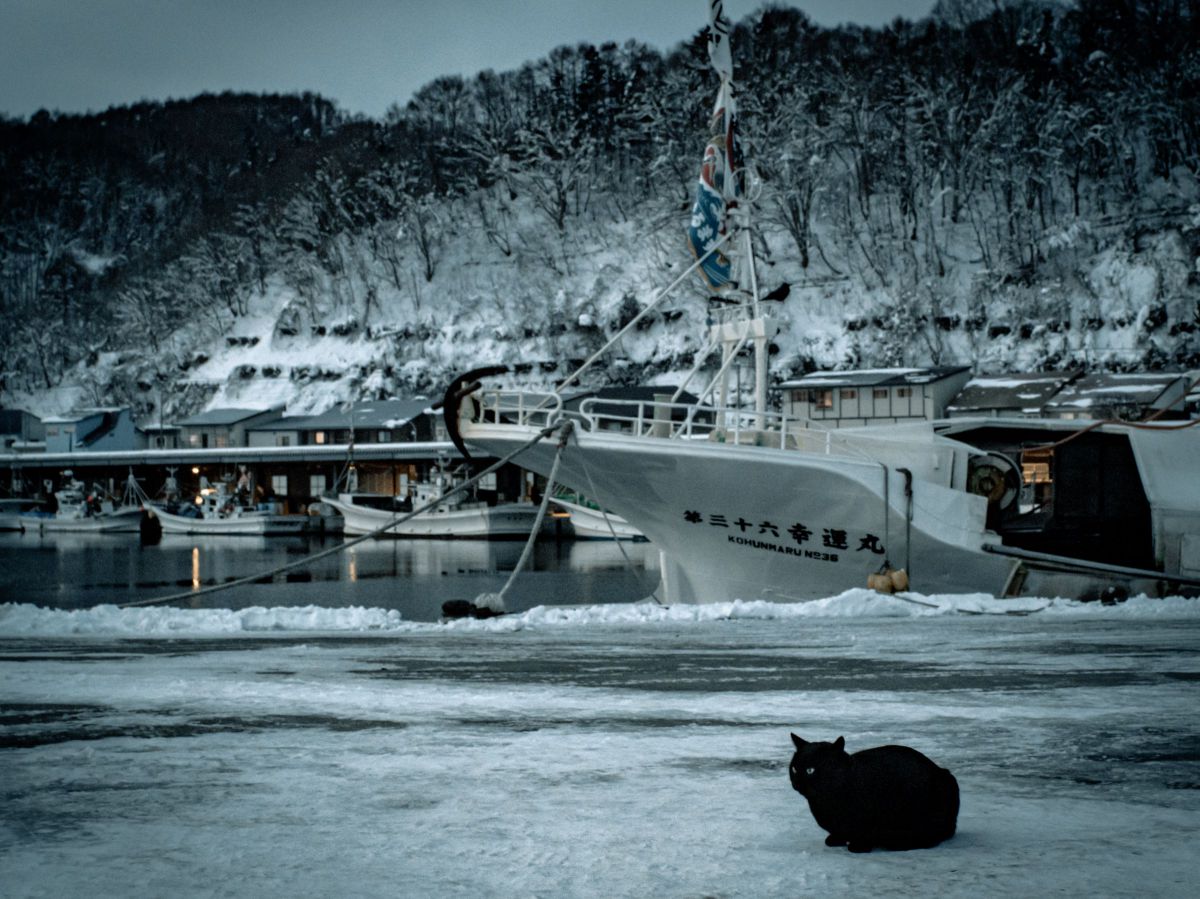 待機中。 | GANREF