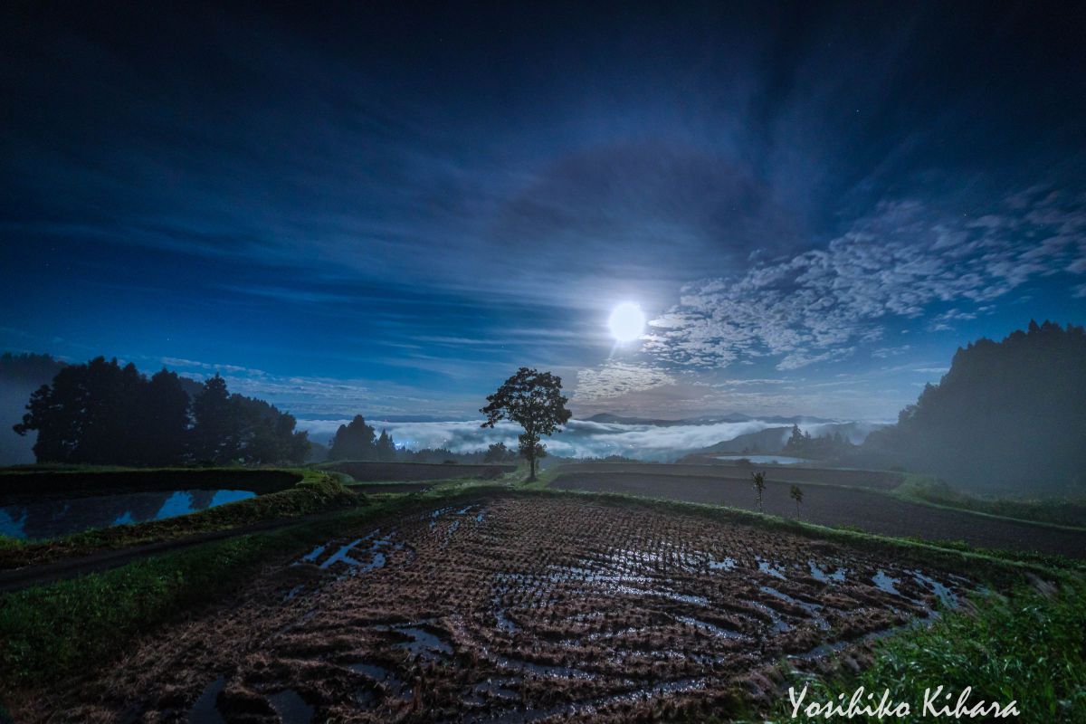 満月の夜に | GANREF