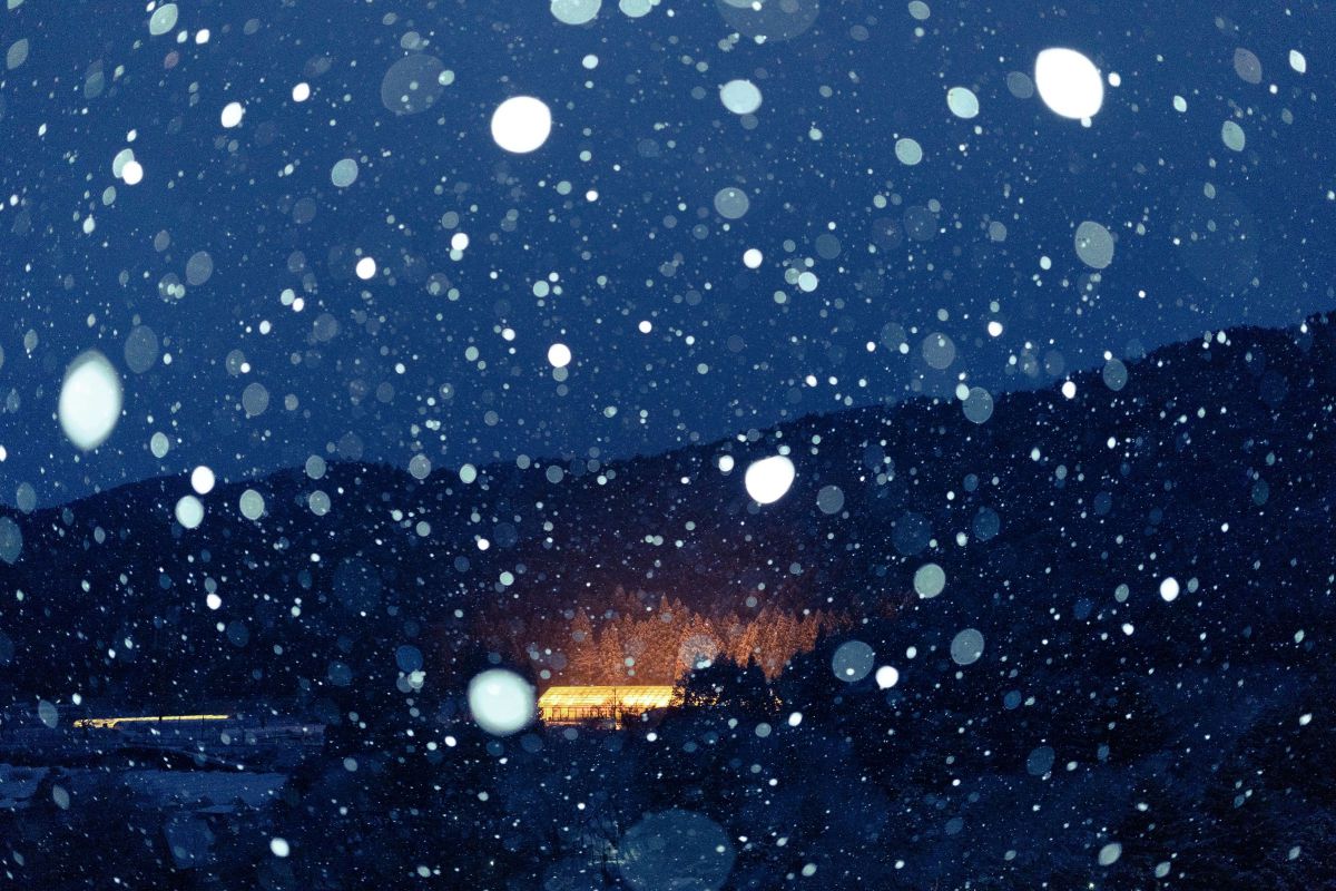 日光雪夜 | GANREF