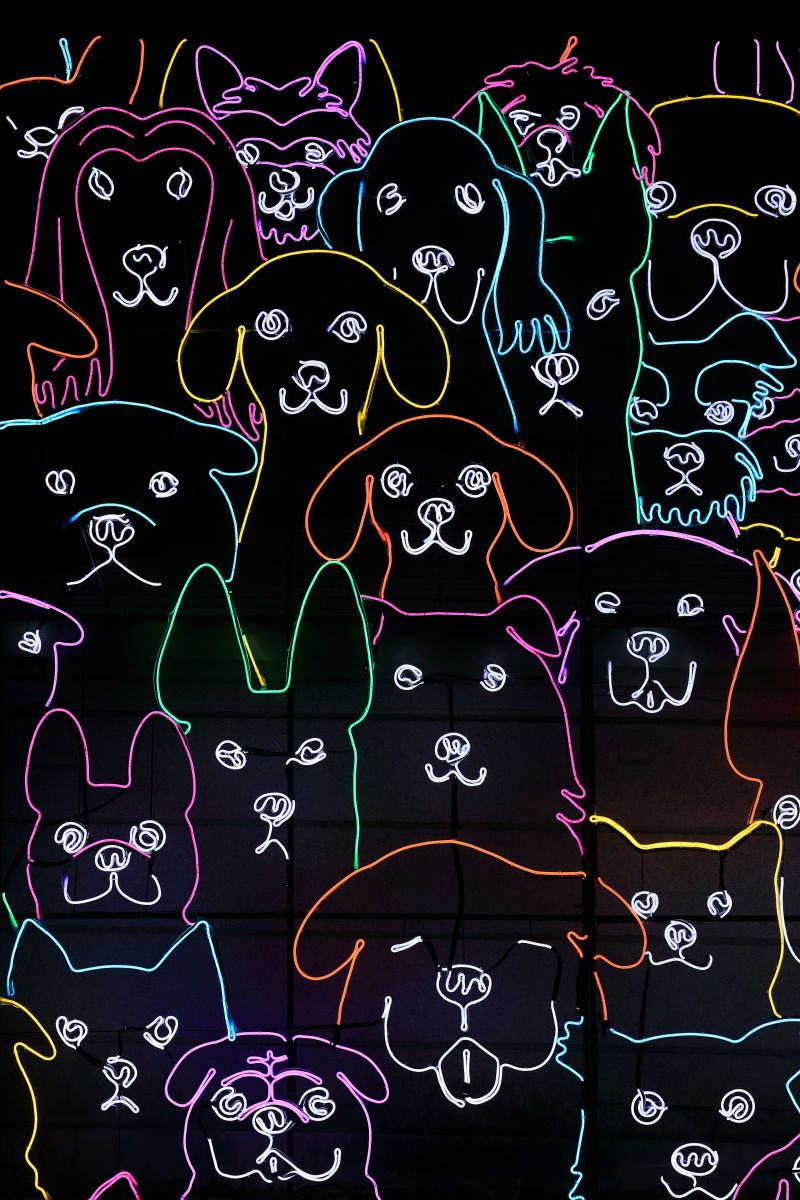Neon Dog's | GANREF