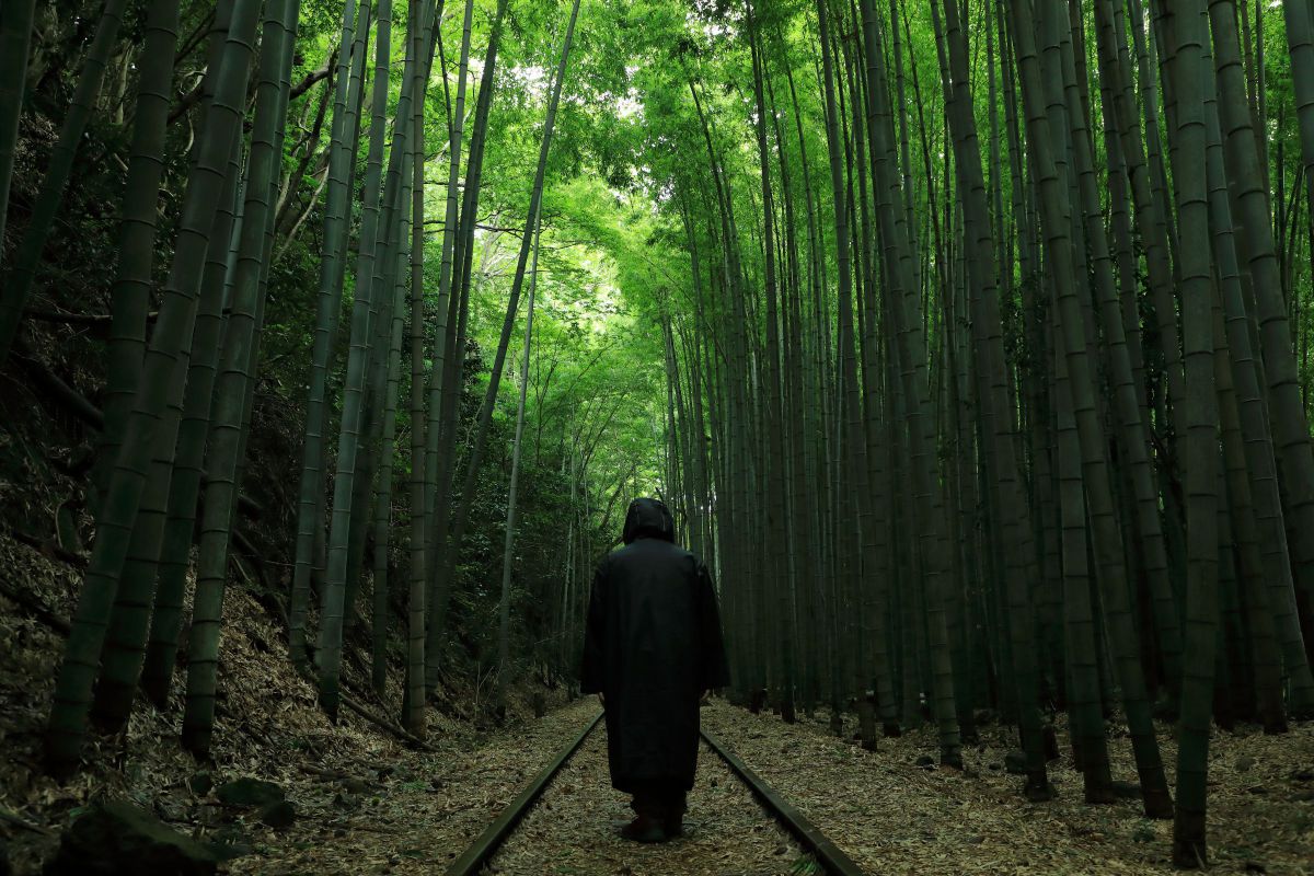 Dark Side Railway | GANREF