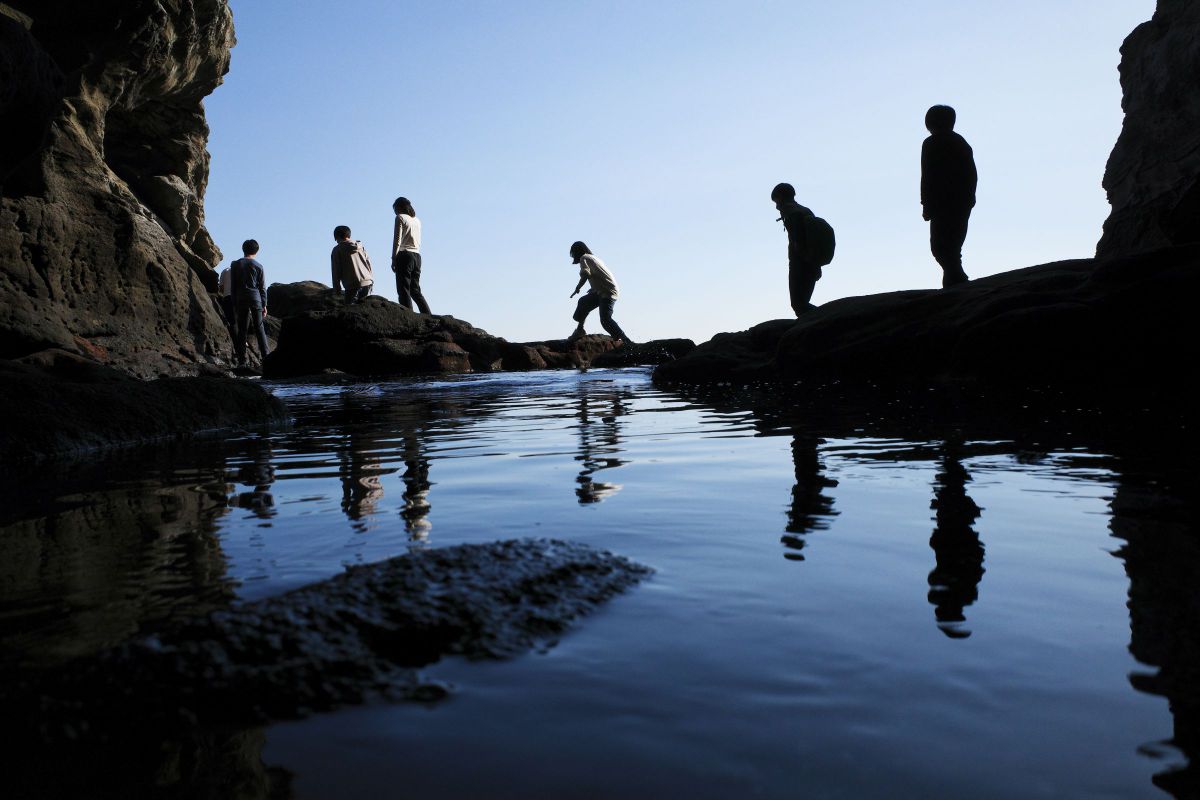 ミスティックブルー | GANREF