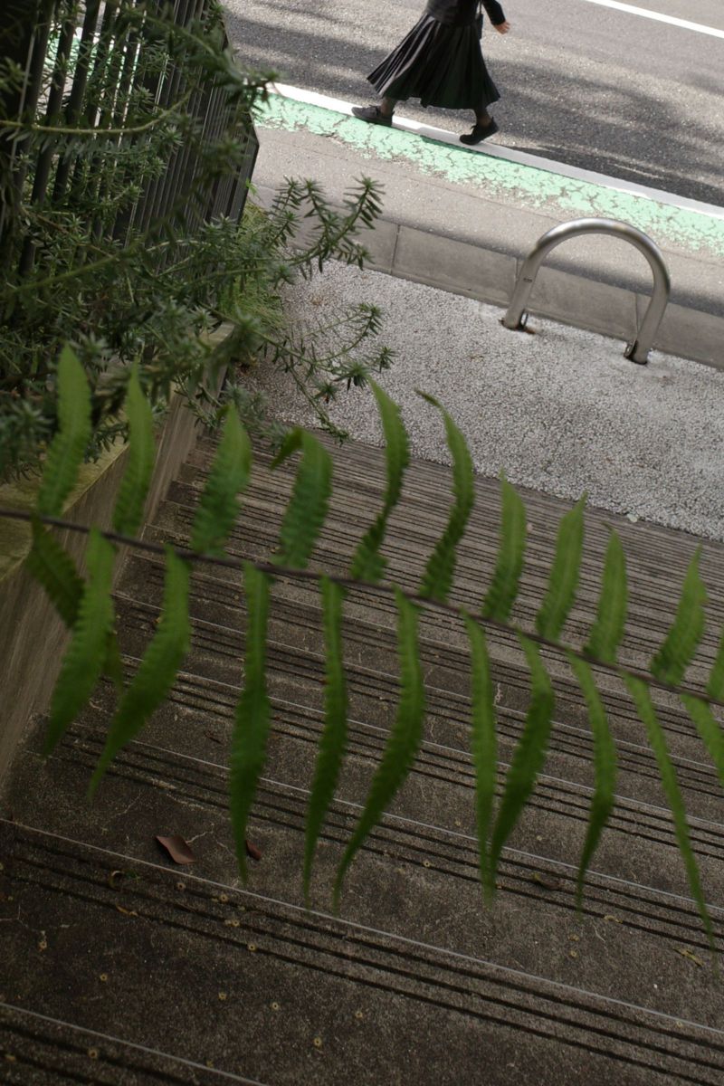 グリーンストリート | GANREF