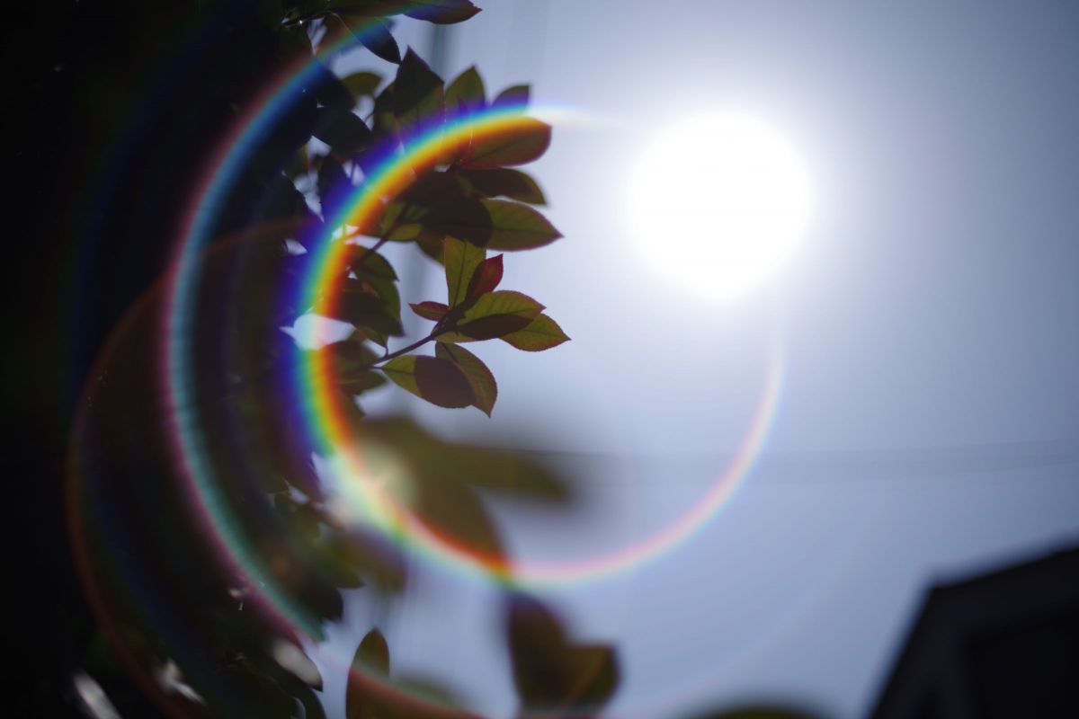 my rainbow flare | GANREF