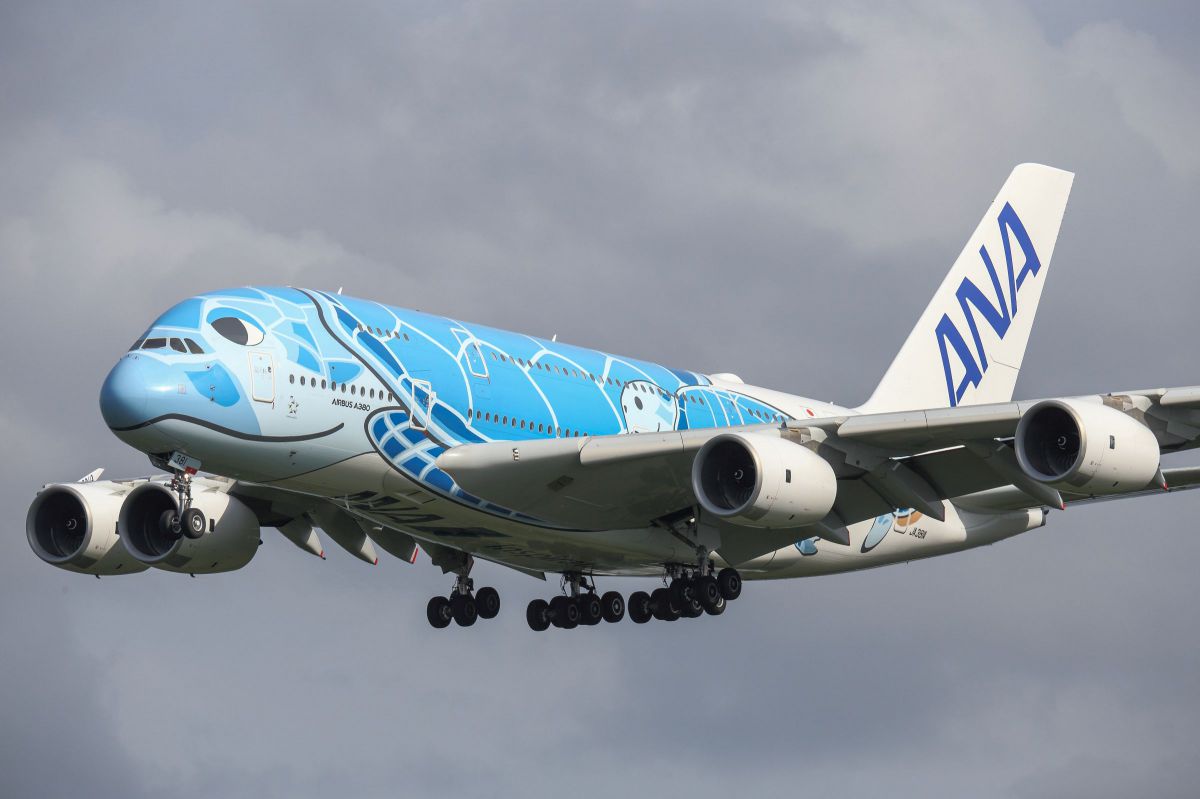 FLYING HONU | GANREF