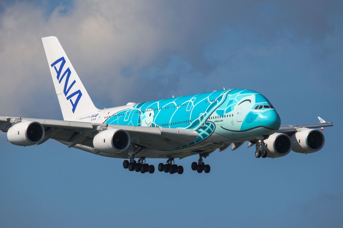 FLYING HONU | GANREF
