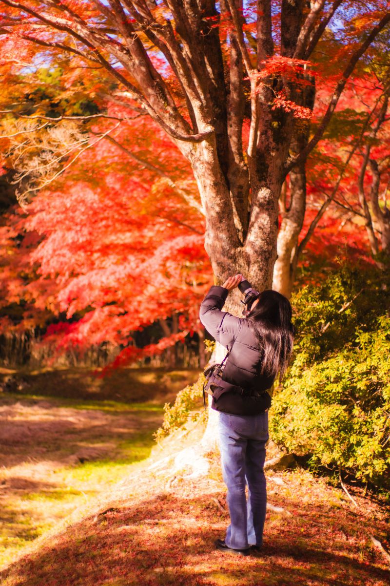 秋色を探して | GANREF