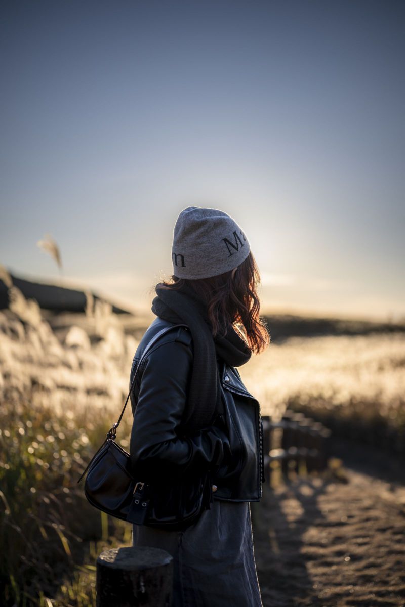 金色世界 | GANREF