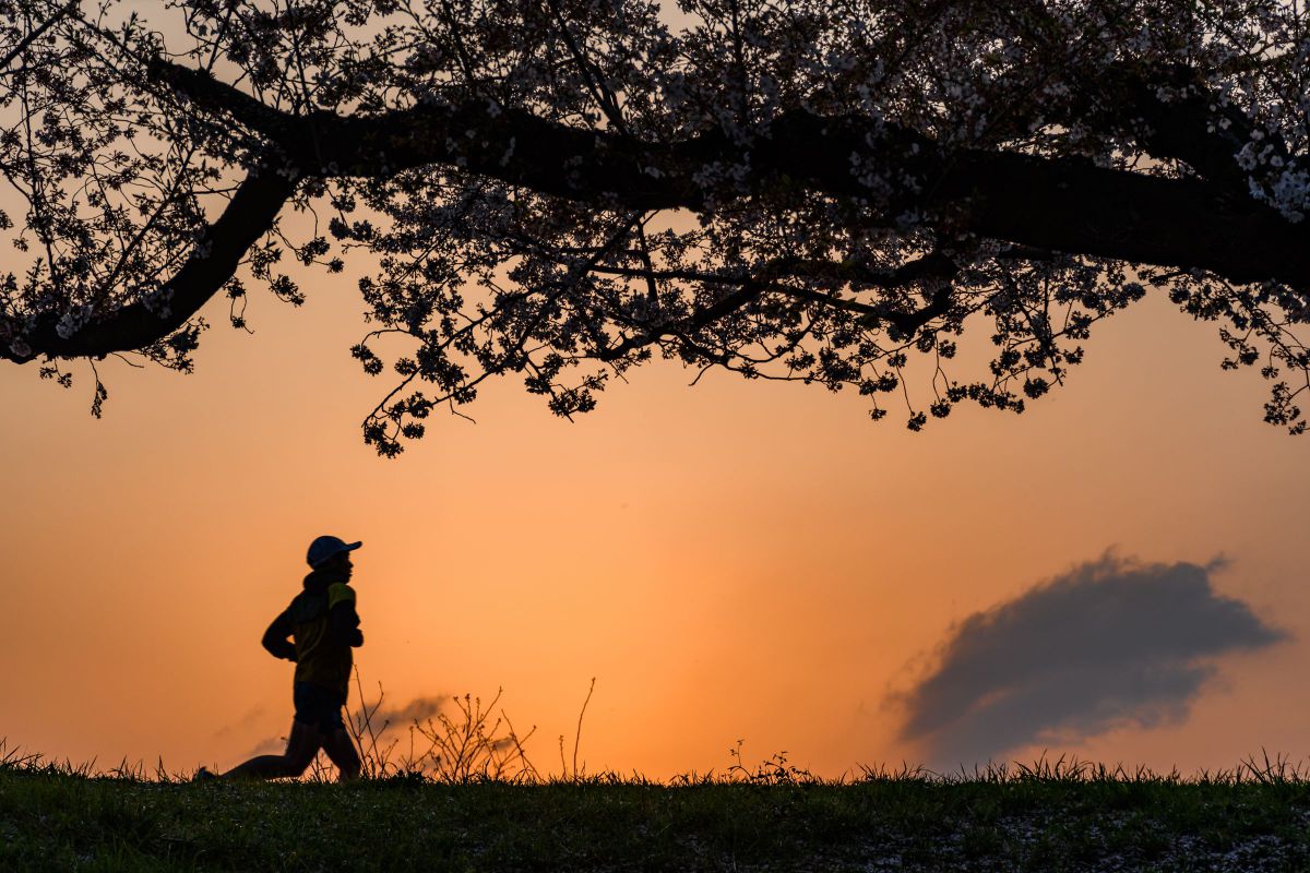 Run for tomorrow | GANREF