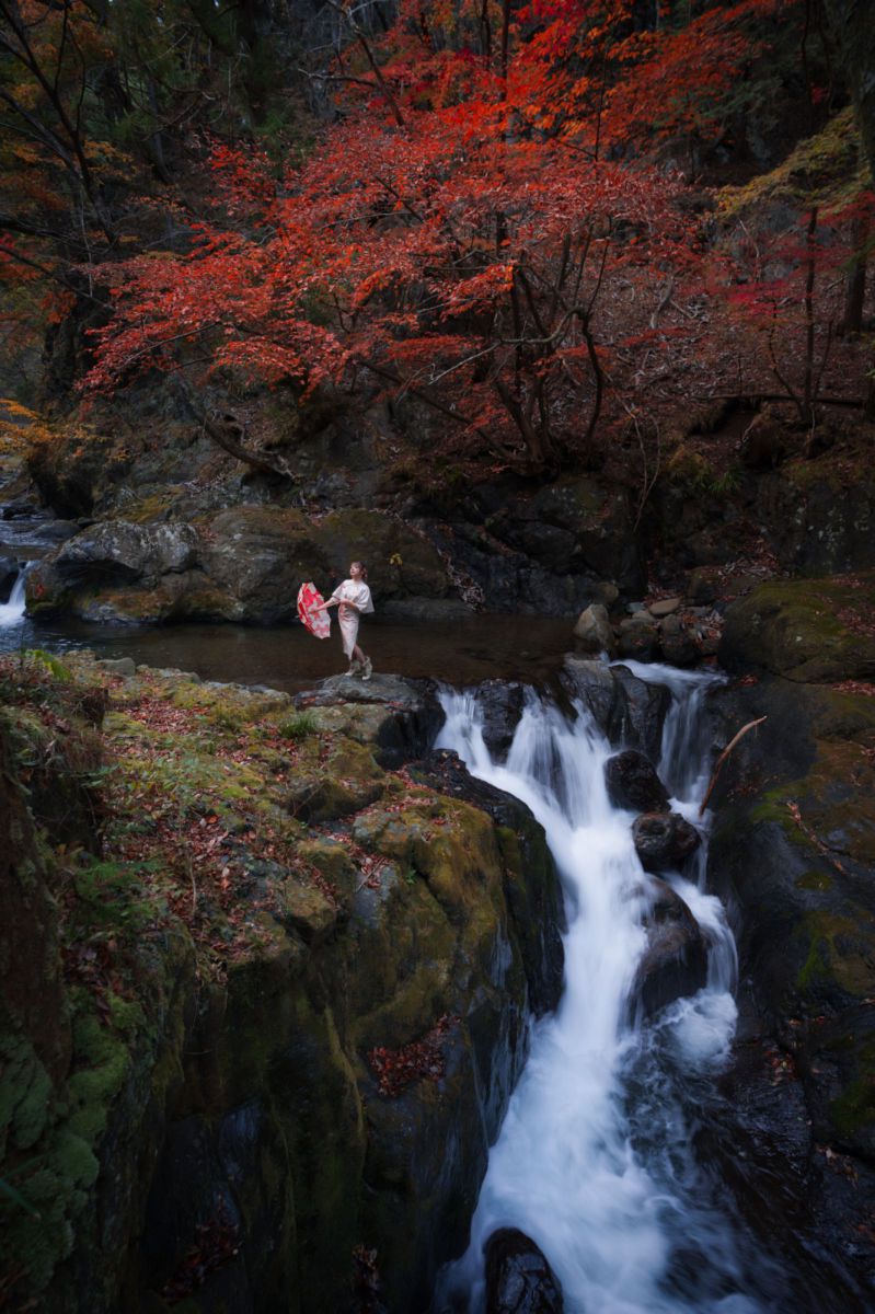 Dramatic Autumn ～ 桐生・ 錦絵 〜 | GANREF