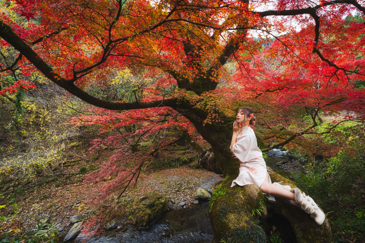 Dramatic Autumn ～ 桐生・ 錦絵 〜 | GANREF