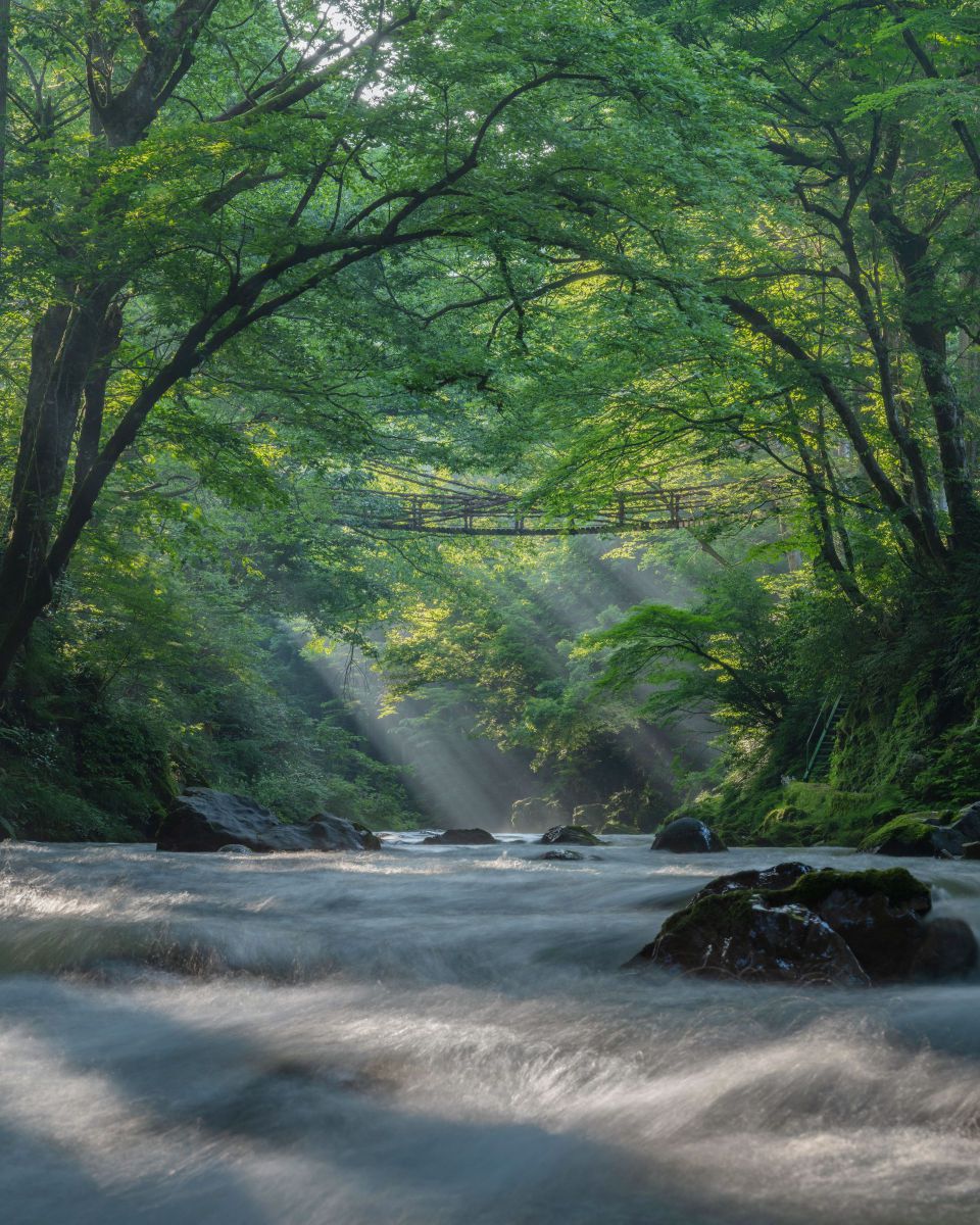 SEASON IN THE SUN | GANREF