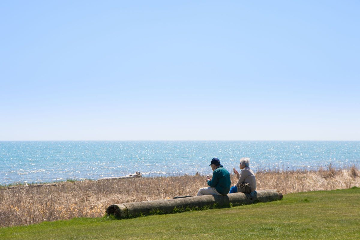 GW静かなお昼 | GANREF