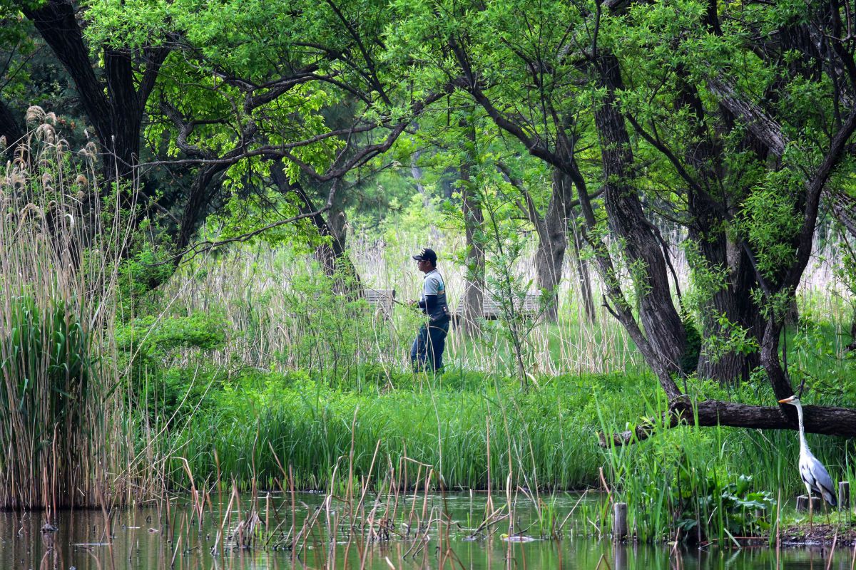 HUNTER×HUNTER | GANREF