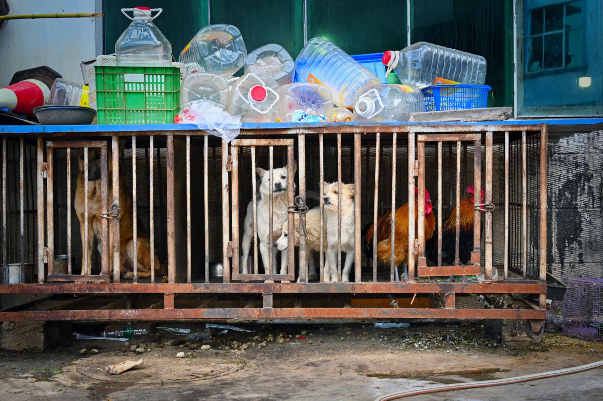 まさか・・・ | GANREF