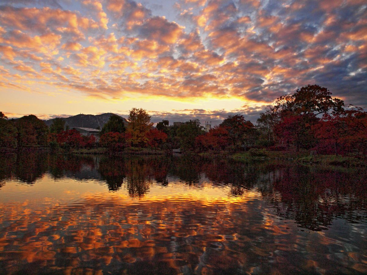 October My Photo ~ 紅葉 その10 | GANREF