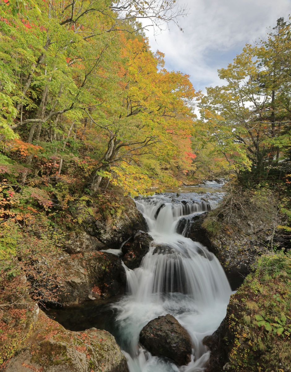 October My Photo ~ 紅葉 その3 | GANREF