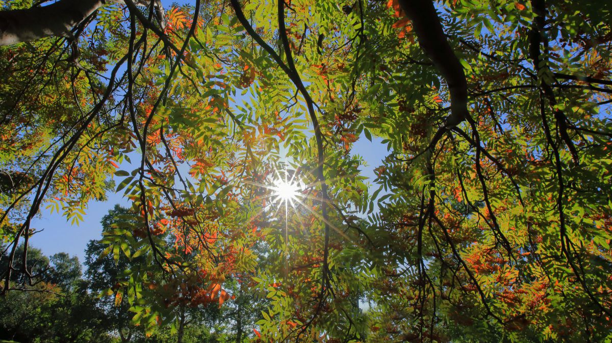 September My Photo ～ 秋めいて | GANREF