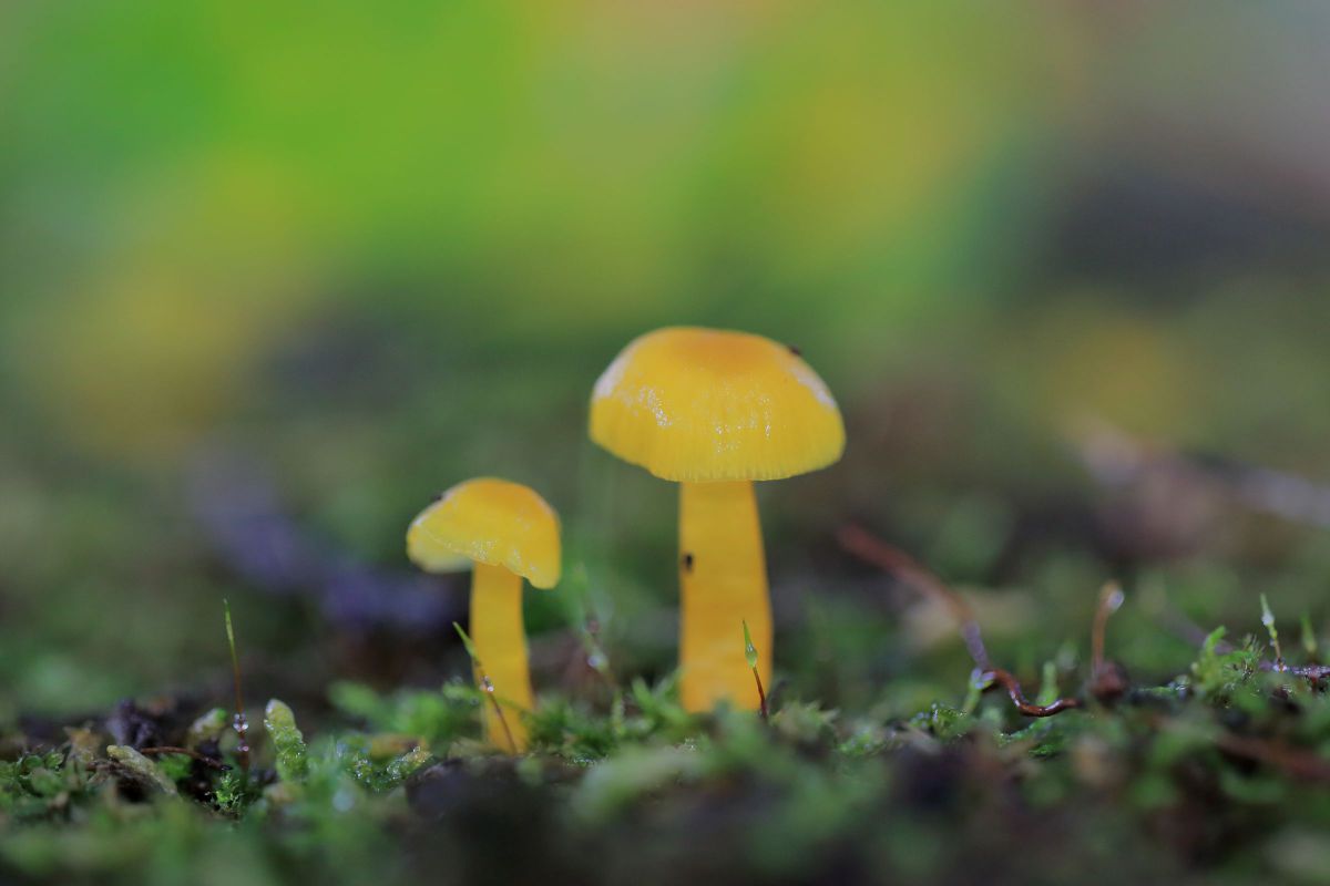 September My Photo ~ 初秋 | GANREF