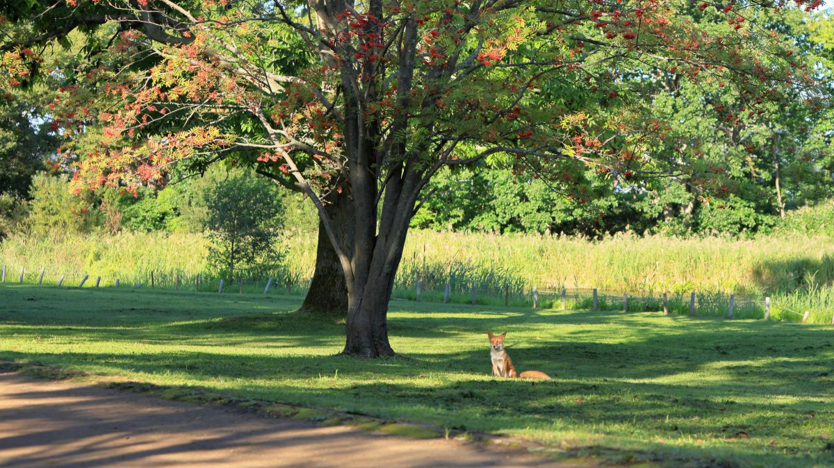 September My Photo ~ ちょっぴり秋 その4 | GANREF