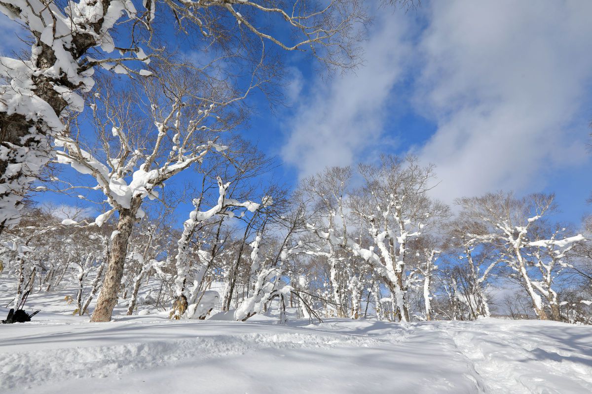 February My Photo ~ 冬 冬景色 その5 | GANREF