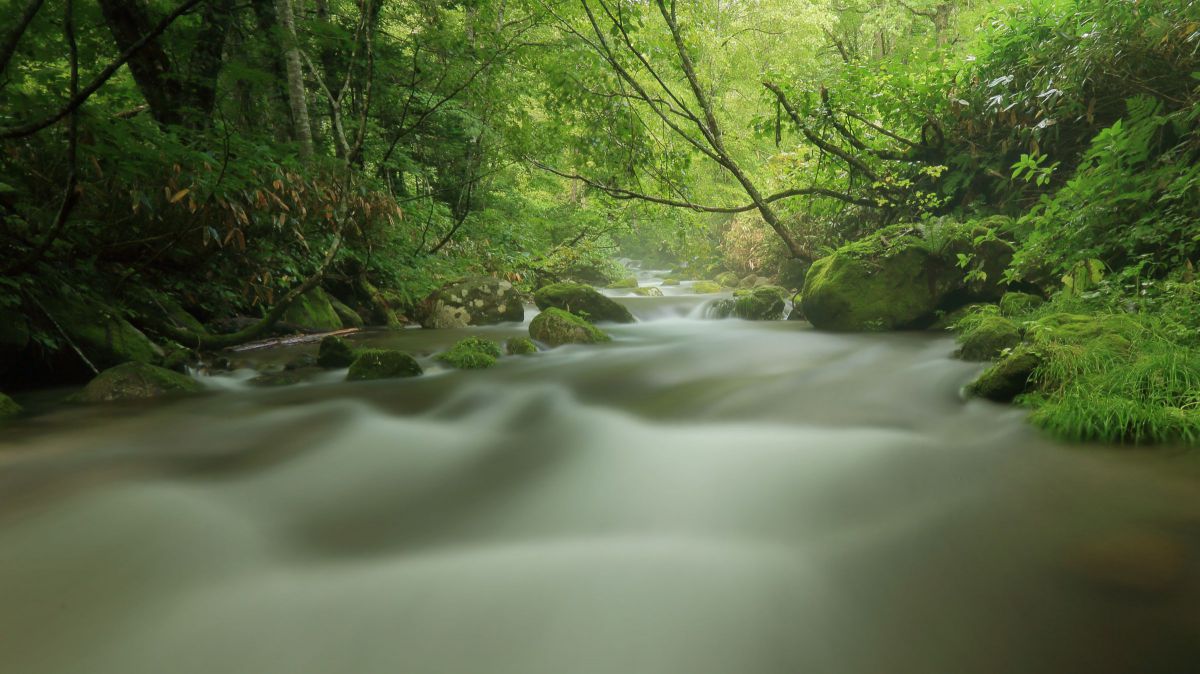 September My Photo ～ 渓流 2 | GANREF