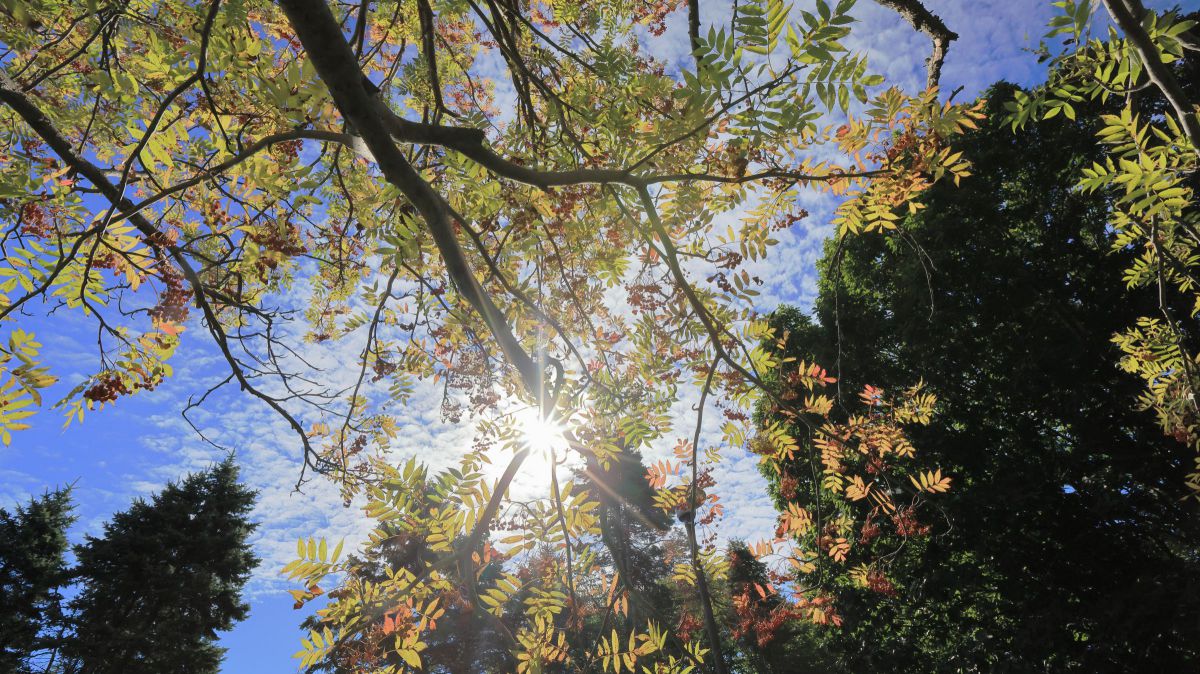 September My Photo ~ ちょっぴり秋 その3 | GANREF