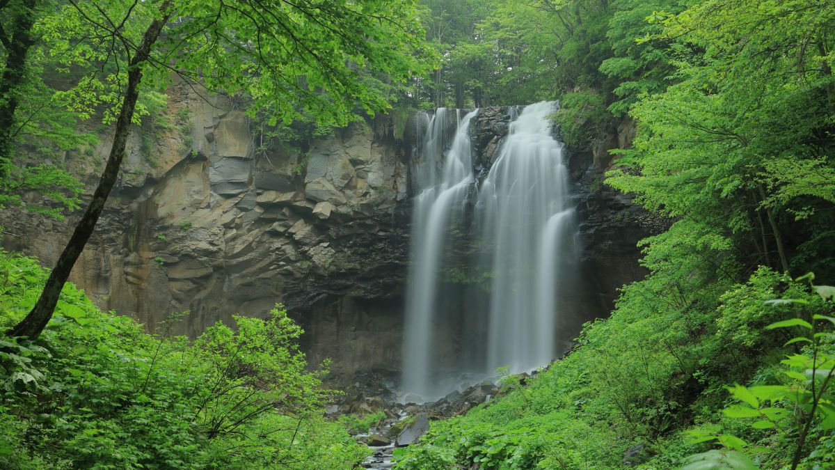 May My Photo ~ 新緑の滝 | GANREF