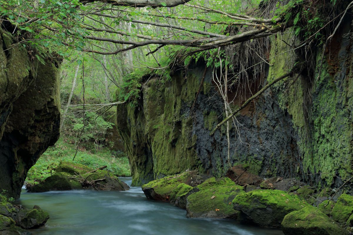 September My Photo ~ 晩夏の川 2 | GANREF