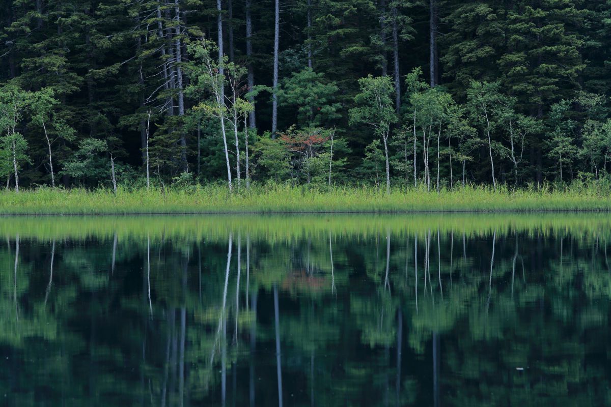 August My Photo ~ 夏の湖 その7 | GANREF