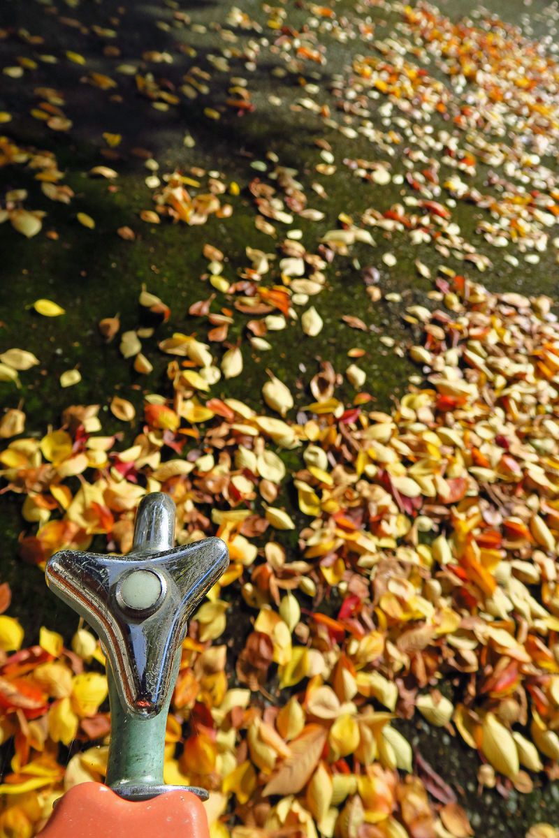 22-11-05minamihara_043.jpg | GANREF