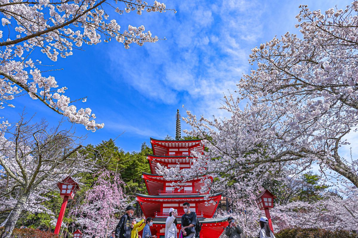 早春賦52 | GANREF