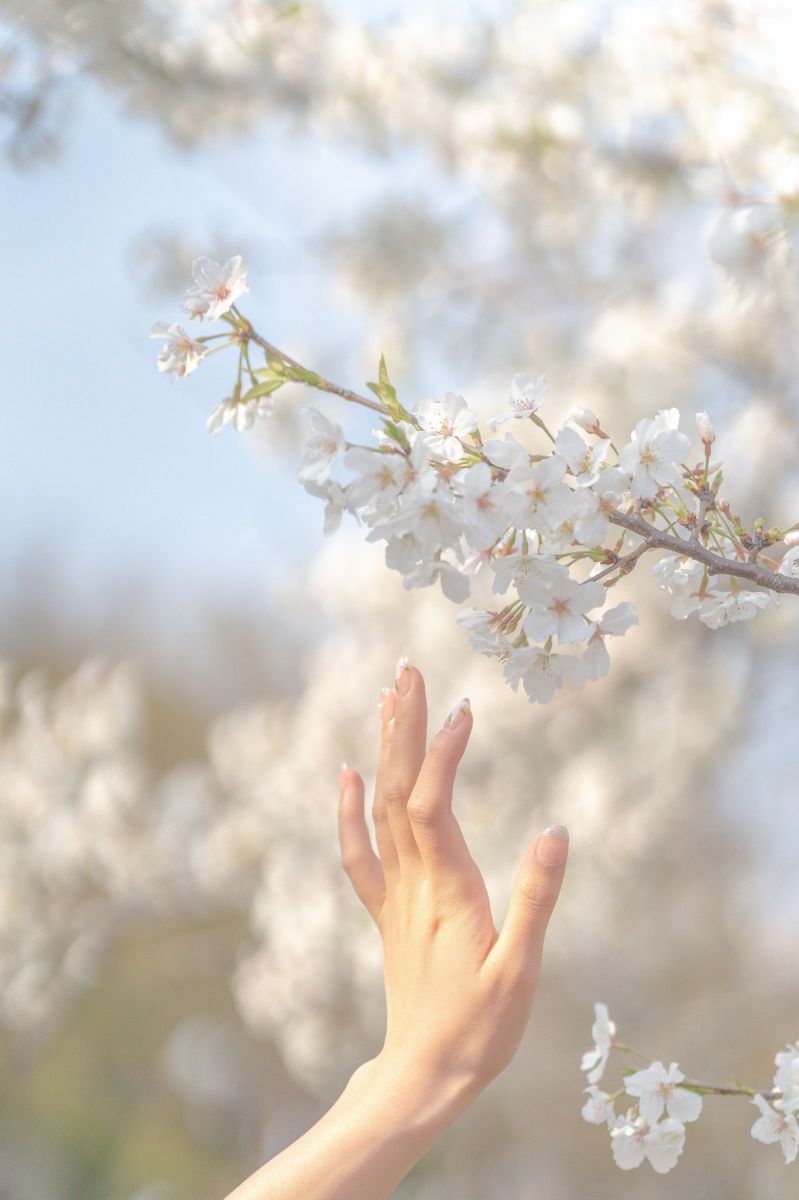 春爛漫17 | GANREF