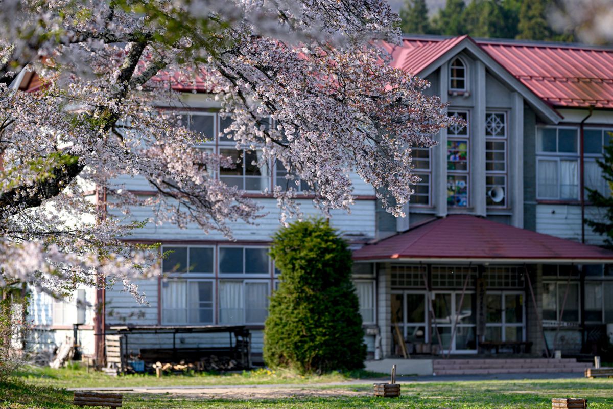 春爛漫27 | GANREF