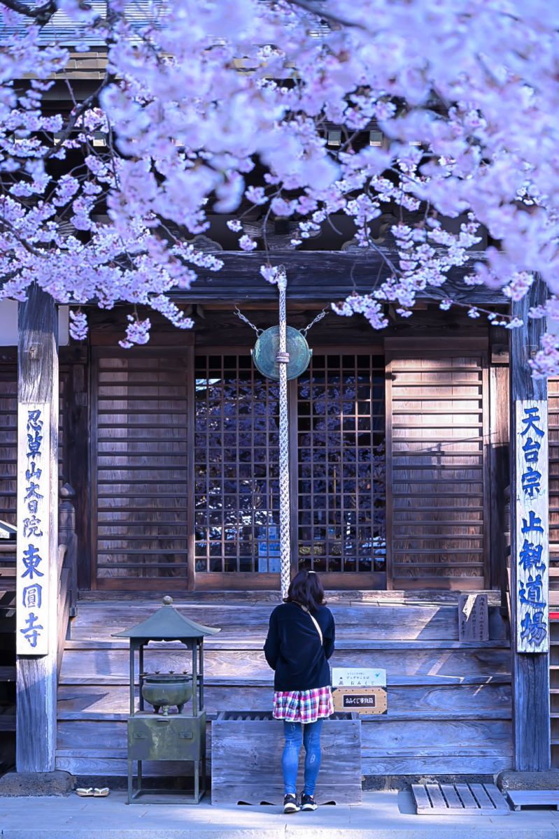 早春賦38 | GANREF