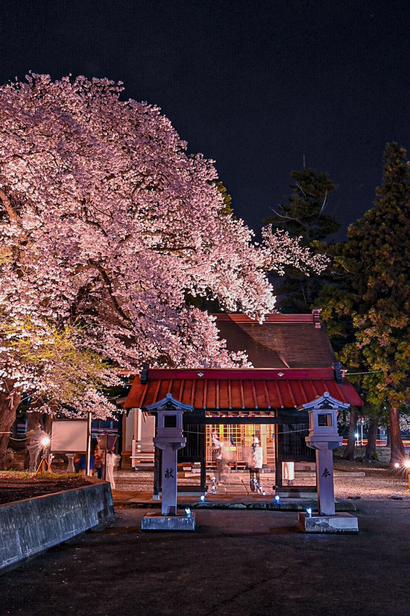 早春賦42 | GANREF