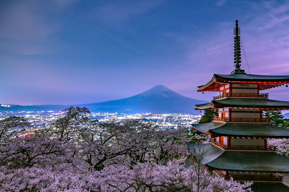 春爛漫25 | GANREF