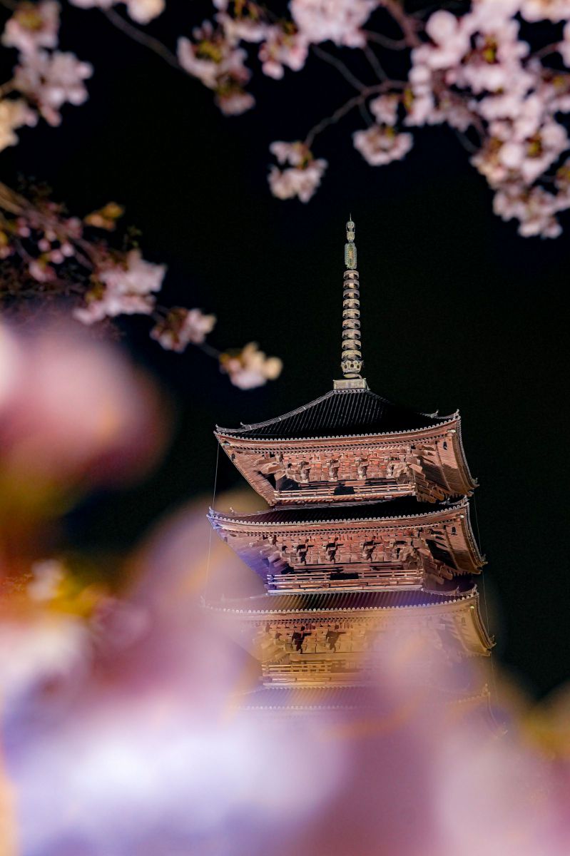 仰ぎ見る | GANREF