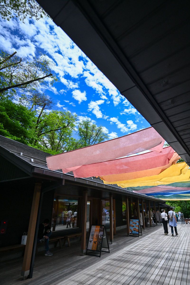 Organic Wind | GANREF