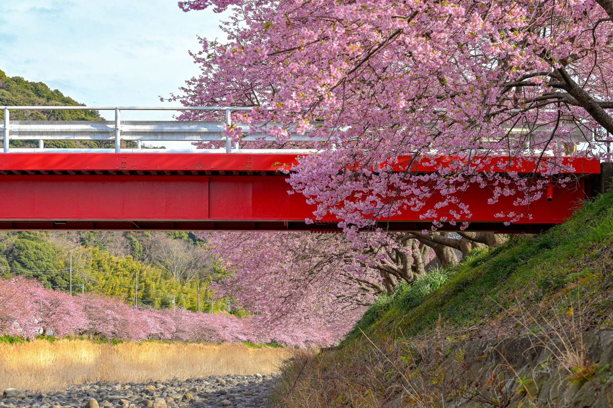 早春賦13 | GANREF