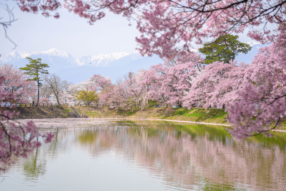 春爛漫21 | GANREF