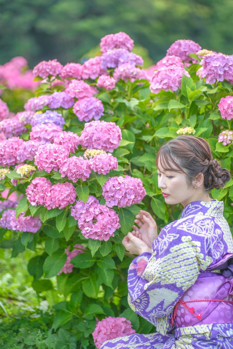 艶やかに | GANREF