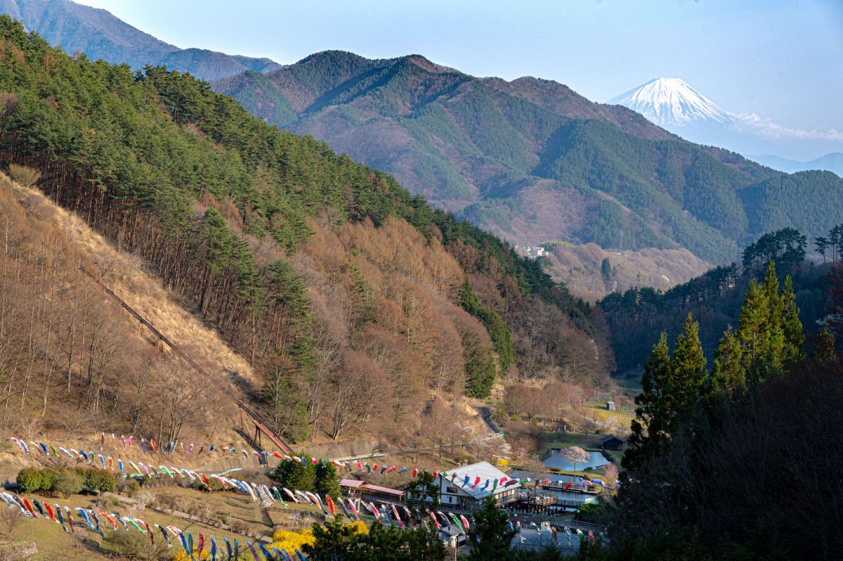 春爛漫35 | GANREF