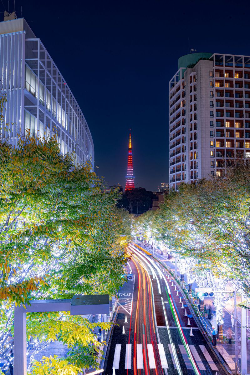 冬の予感 | GANREF