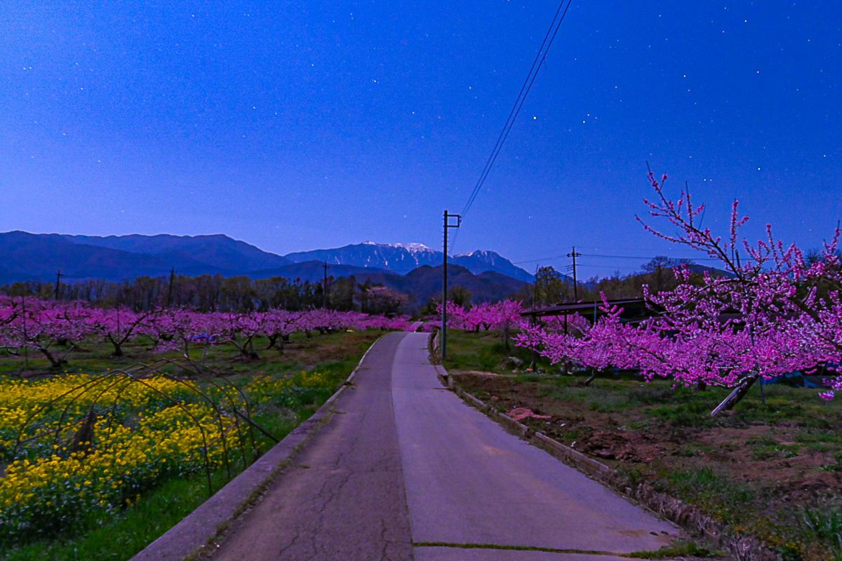 早春賦27 | GANREF