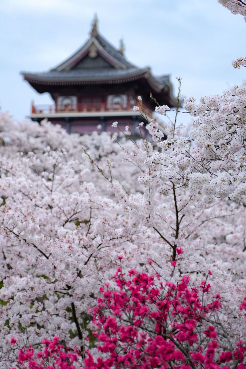 早春賦59 | GANREF