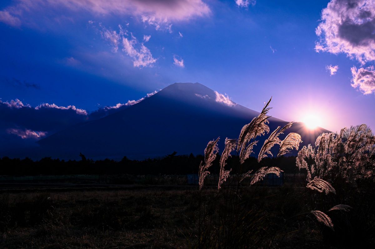 富士山情11 | GANREF