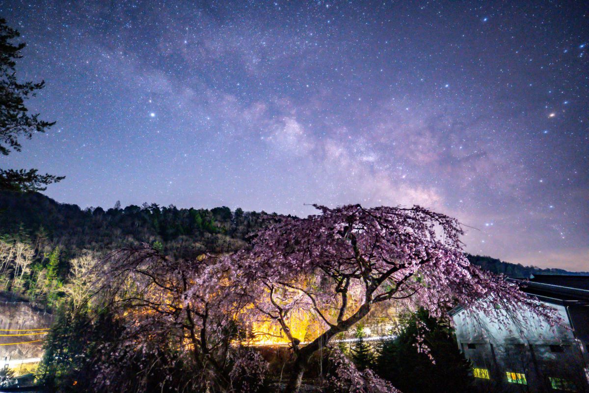 早春賦57 | GANREF