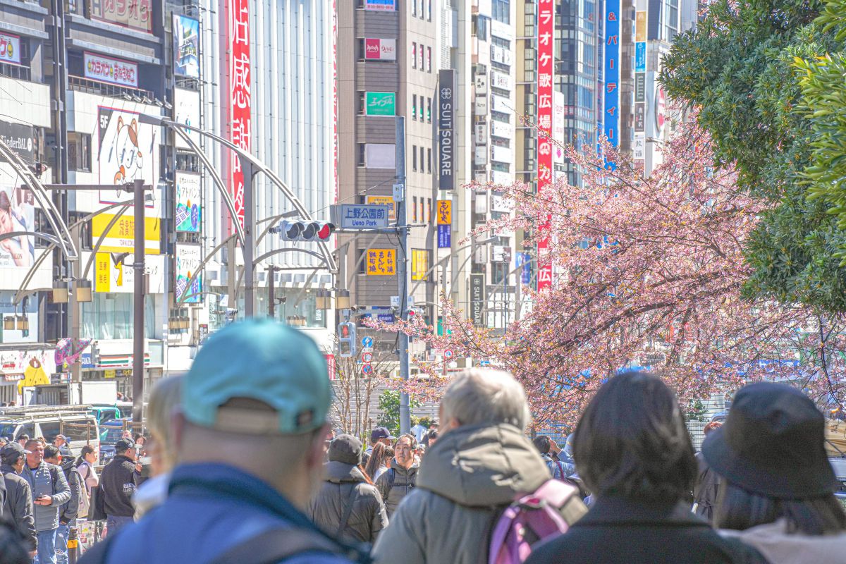 早春賦19 | GANREF