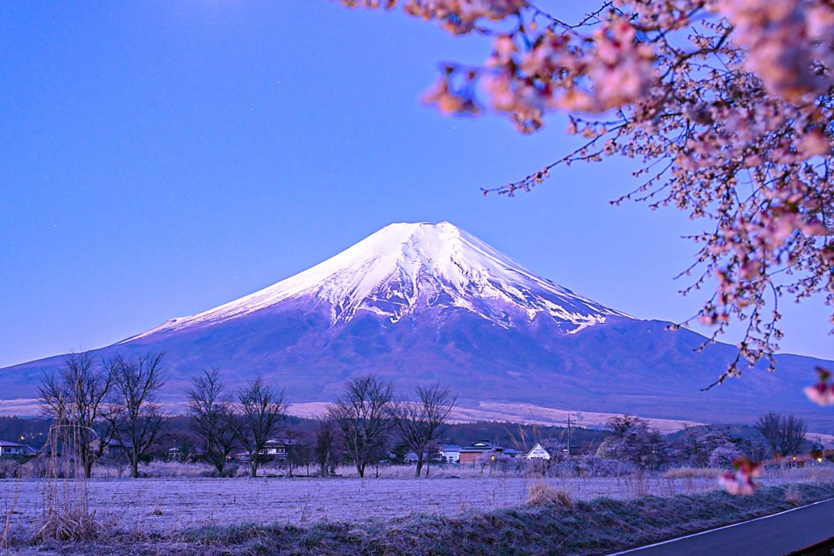 早春賦44 | GANREF